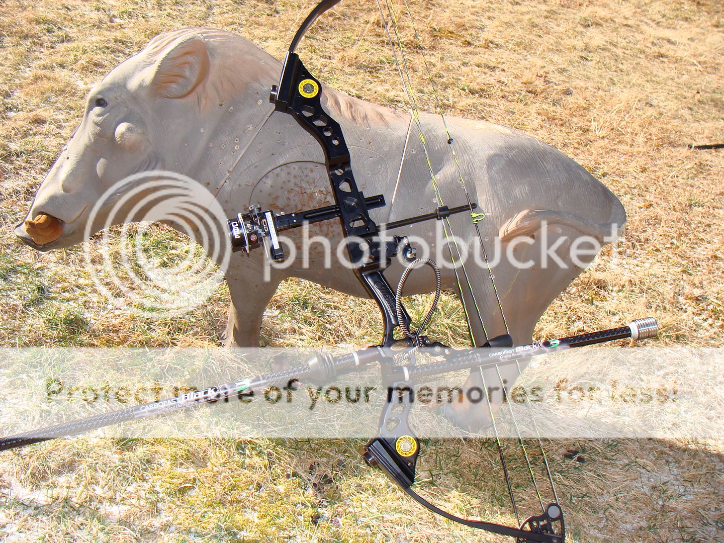 ~CarboFast Black X Stabilizer "review" | Archery Talk Forum