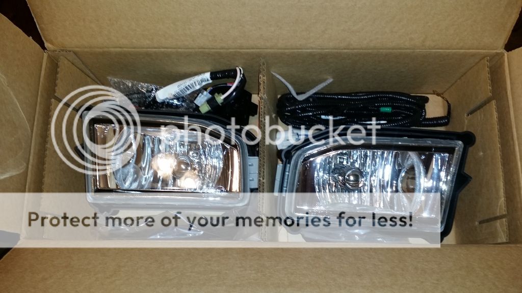 Jayare's 2007 Element SC | Honda Element Owners Club