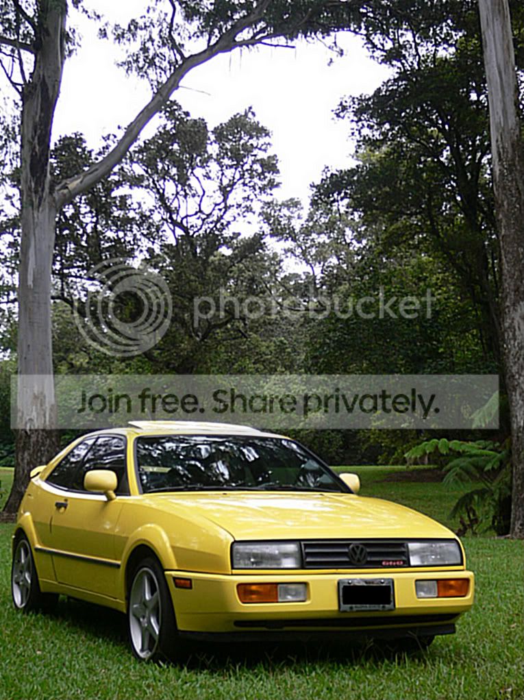 Corrado Photo Shoot in Hawaii | VW Vortex - Volkswagen Forum